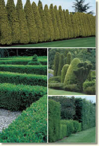 Gartenfreunde Freiberg a.N